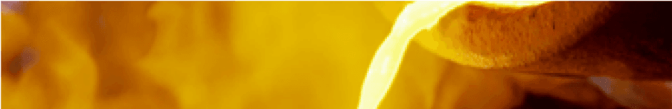 Discover Premium Metal Products and Services | MMTC-PAMP